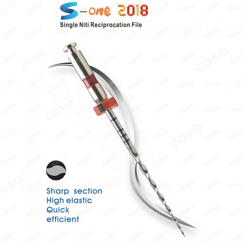 Endo Files Archives - SHPL